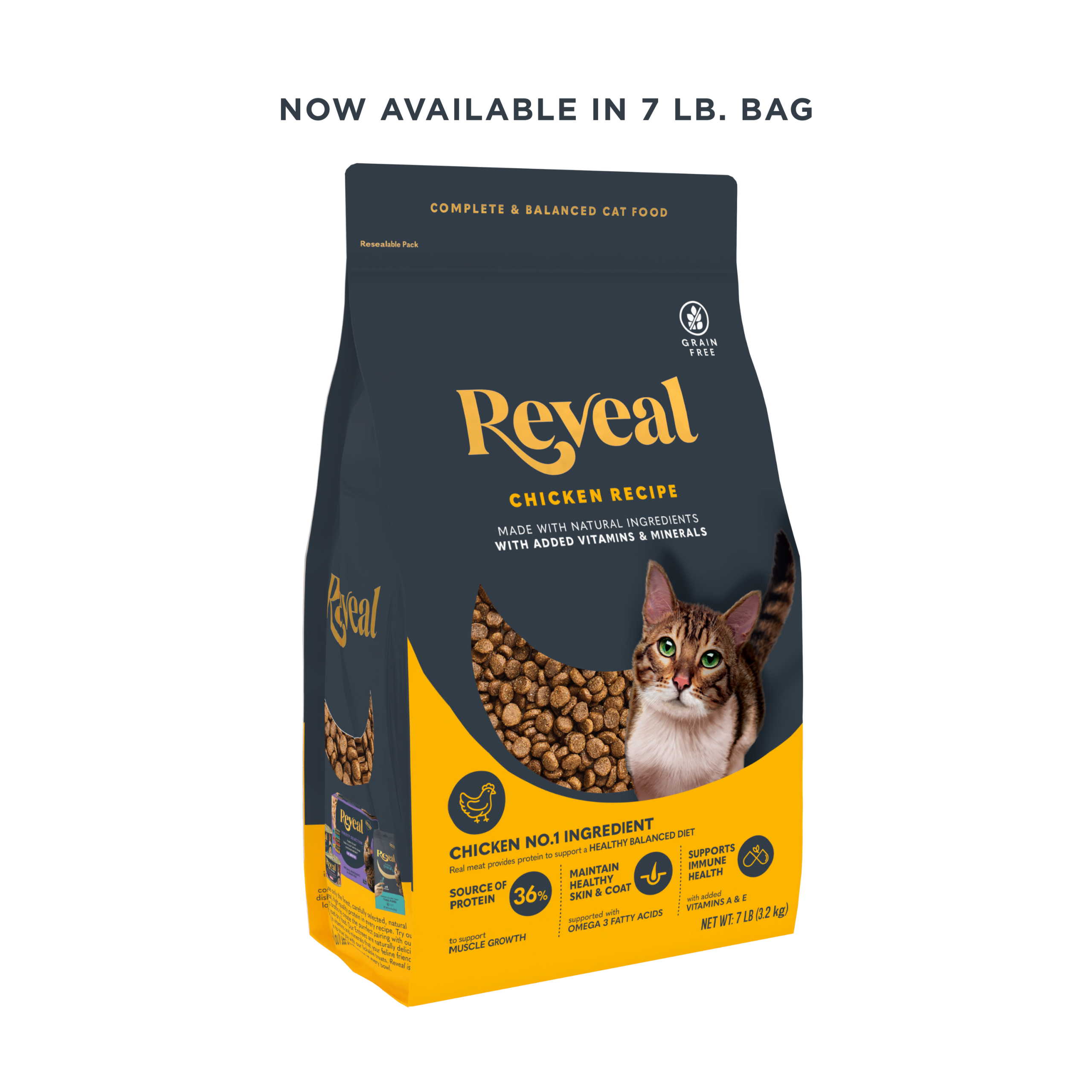 Adult Dry Cat Food Chicken Recipe - Reveal