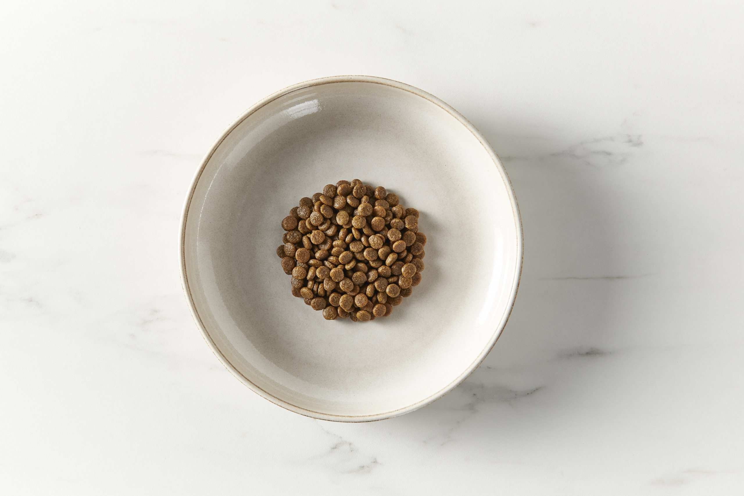 Dry Food - Reveal