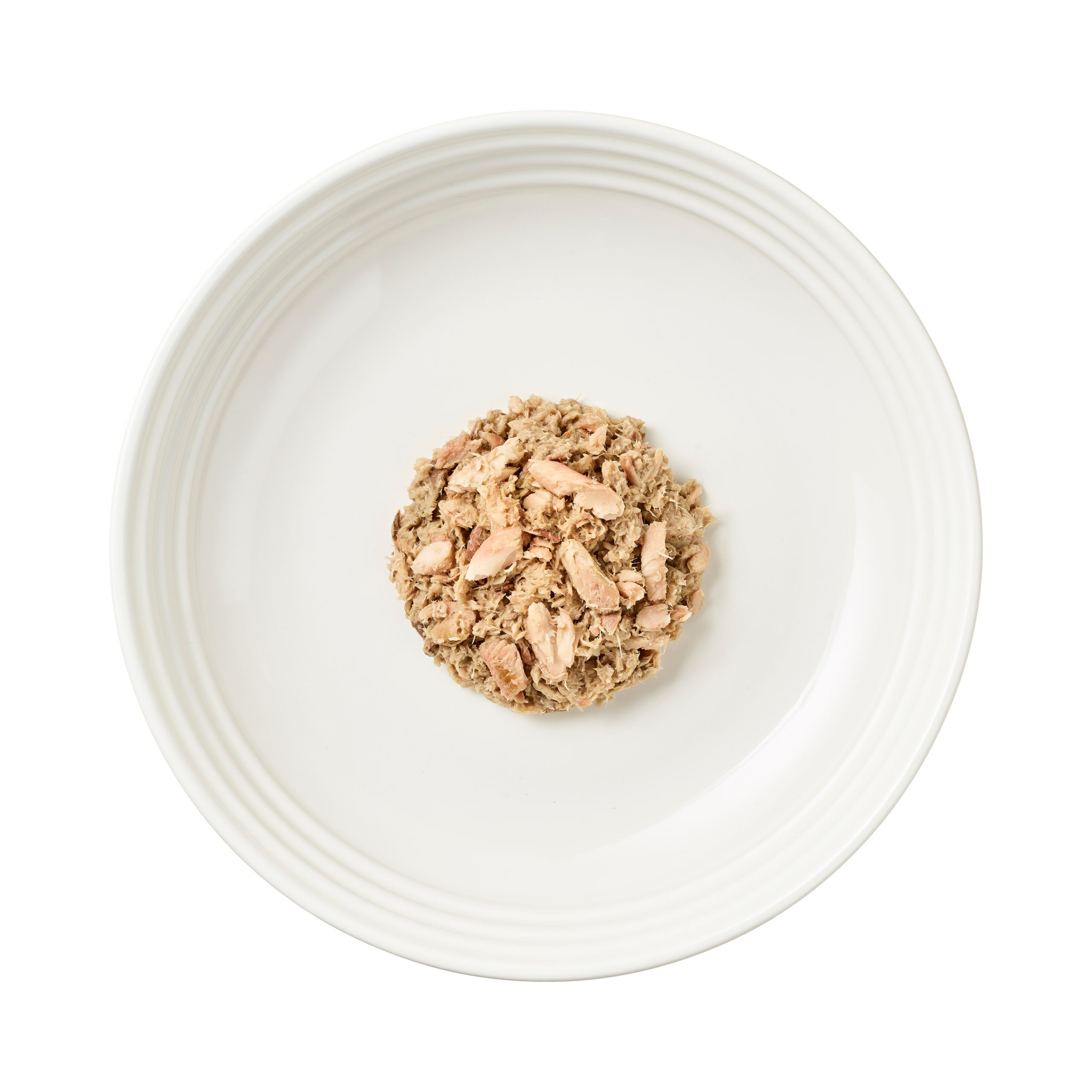 Wet Food - Reveal